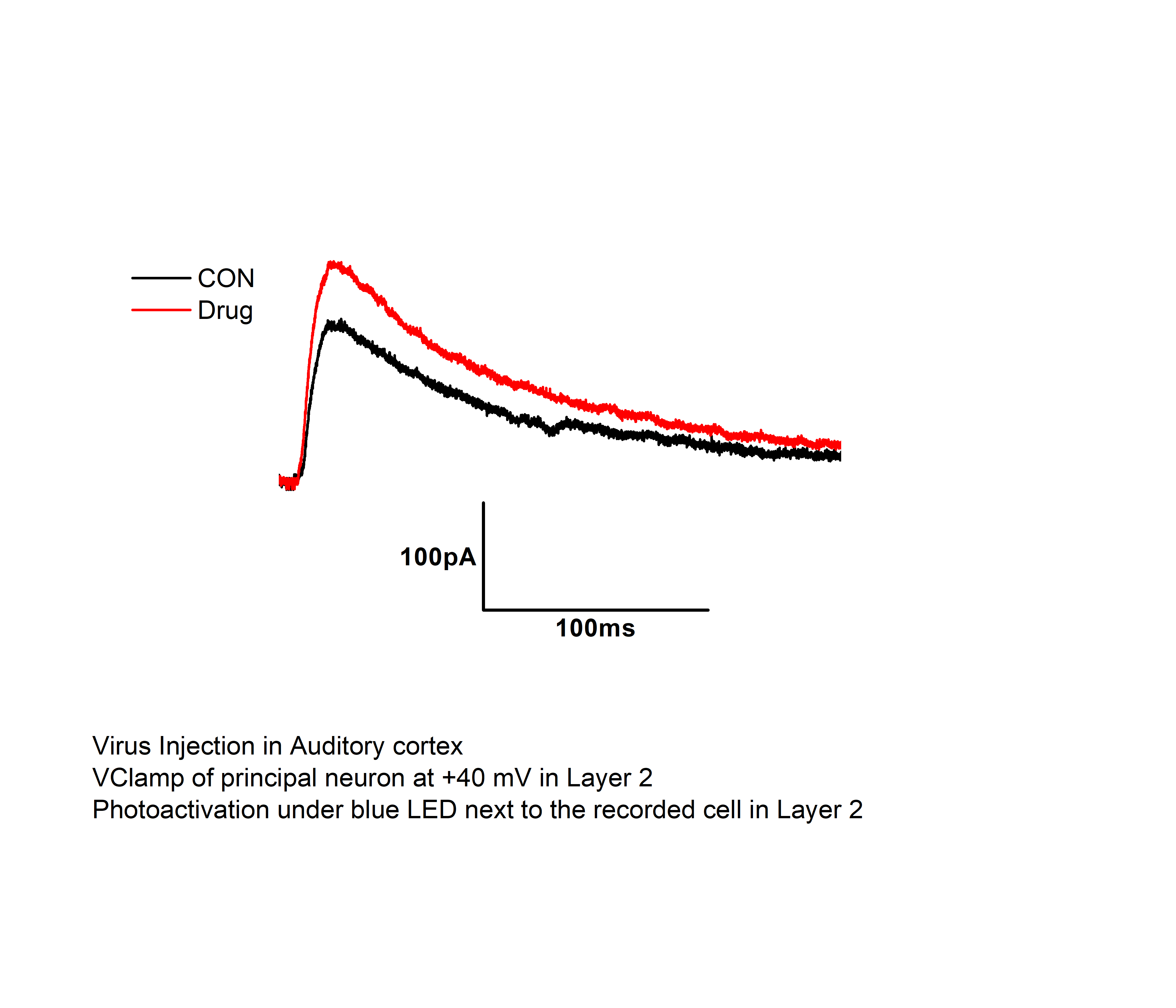 Addgene: AAV Data Hub - pAAV-CaMKIIa-hChR2(H134R)-EYFP in Mouse (AAV9)